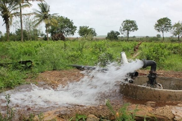 How to Make Nigerian Samosa at Home - AgroNigeria